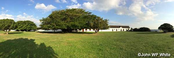 Birding At De Hoop Nature Reserve | Birda