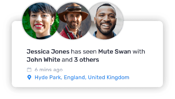 Free Birdwatching App To Connect With Nature | Birda