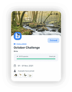Free Birdwatching App To Connect With Nature | Birda