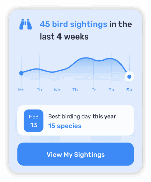 Free Birdwatching App To Connect With Nature | Birda