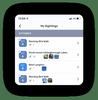 Free Birdwatching App To Connect With Nature | Birda