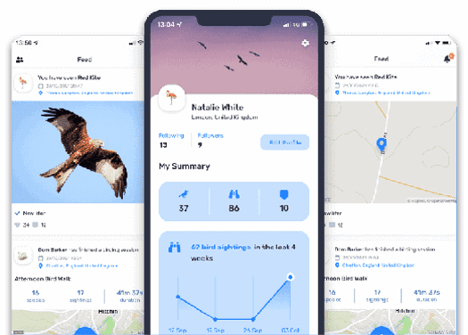 karoo national park birding - Embizweni Cottage | Birda
