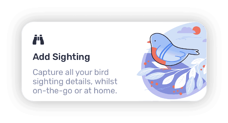 Free Birdwatching App To Connect With Nature | Birda