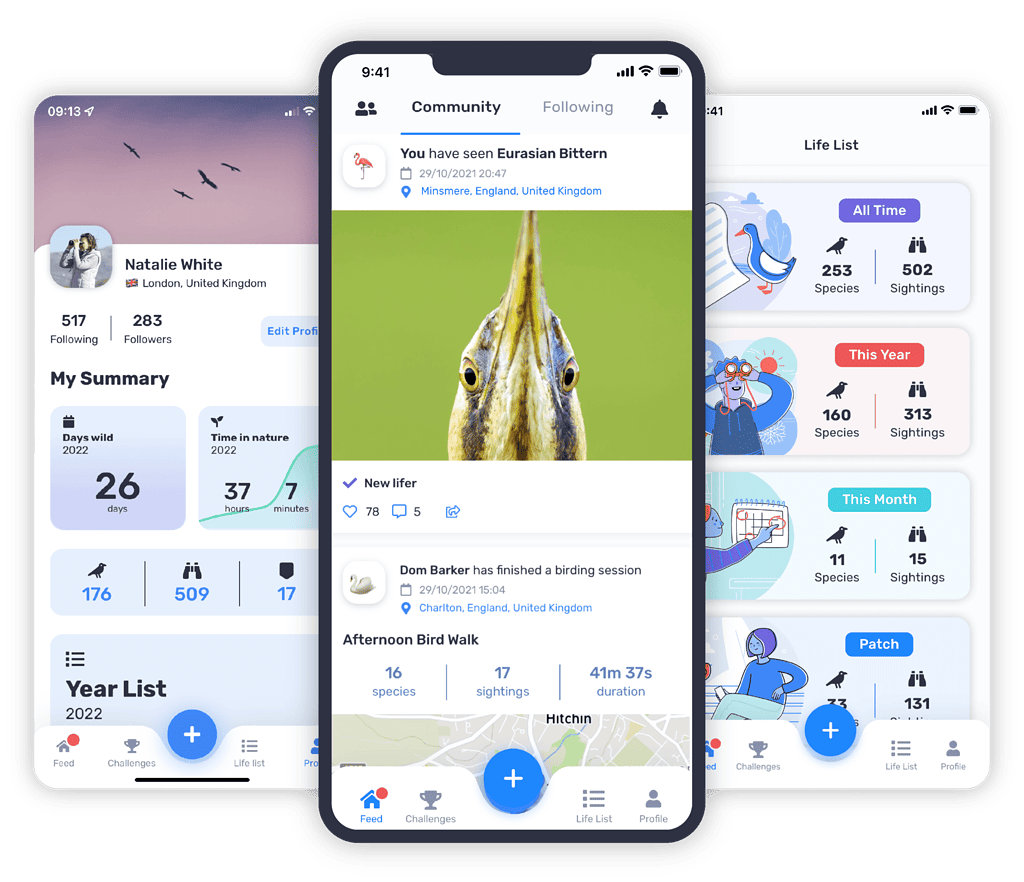 Free Birdwatching App To Connect With Nature | Birda