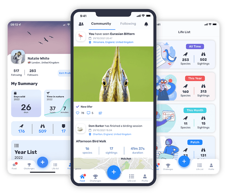 Free Birdwatching App To Connect With Nature | Birda