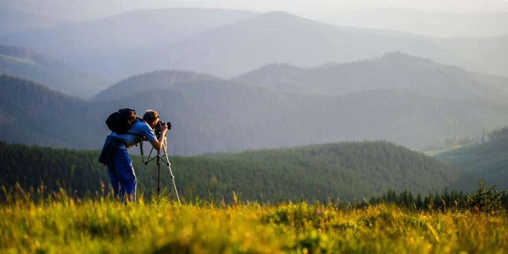 The Best Lens for Bird Photography - Birda